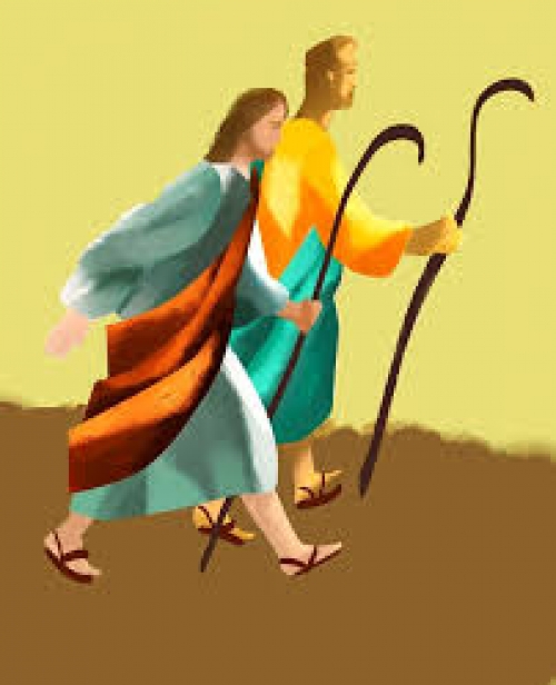 Gostaria de saber sobre uso do cajado pelos discípulos, quando Jesus os ...